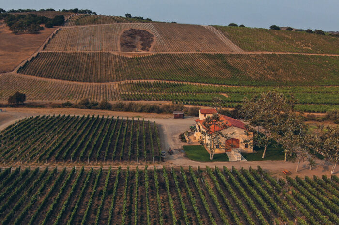 Chef David Slay Becomes a Welcome Fixture for a Hungry and Sociable ...